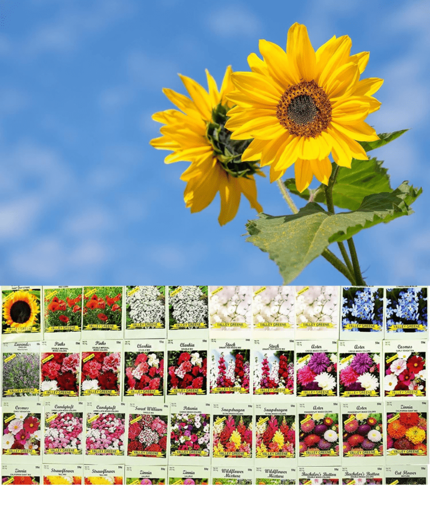 1000 Flower Seed Packets for Beginner Gardener